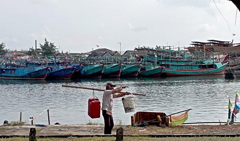 Bmkg Imbau Nelayan Waspadai Gelombang Tinggi Saat Masa Panen Ikan