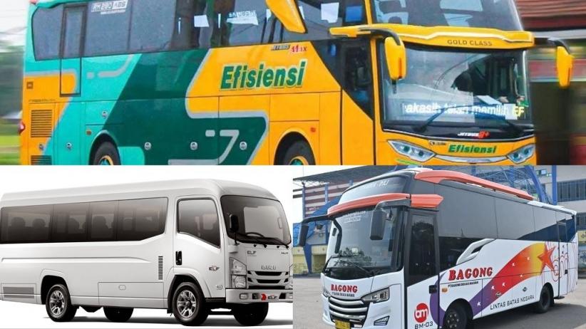Kenali Jenis-jenis Bus Berdasarkan Ukuran, Jangan Salah Pilih Biar ...
