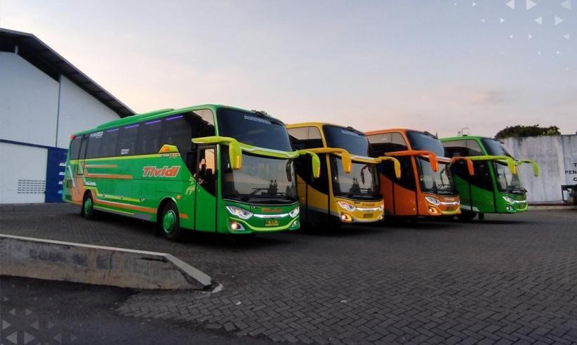 PO Tividi Luncurkan Bus Pariwisata Baru, Tampil Ceria dengan Bodi Warna ...
