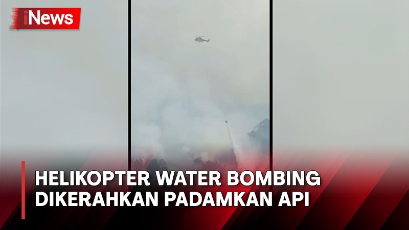 BNPB Sebut Kekurangan Helikopter Water Bombing untuk Atasi Karhutla di Berbagai Wilayah