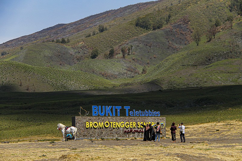 Kondisi Terkini Bukit Teletubbies Gunung Bromo Kembali Menghijau Kondisi Terkini Bukit Teletubbies Gunung Bromo Kembali Menghijau