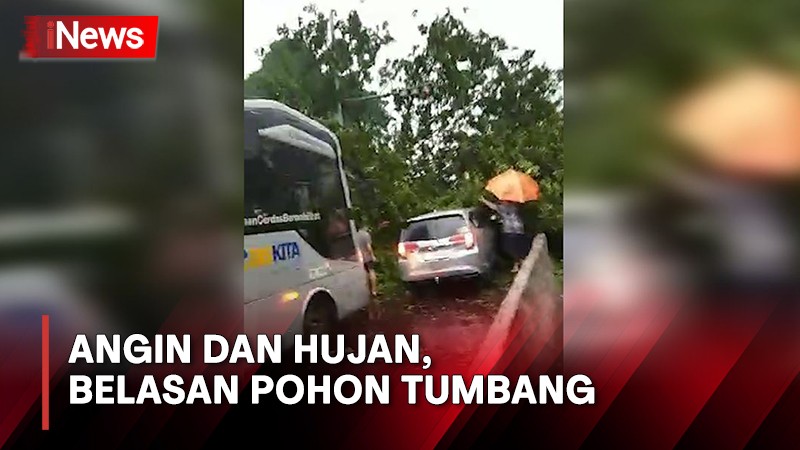 Pohon Tumbang Timpa Atap Rumah dan Mobil di Bogor