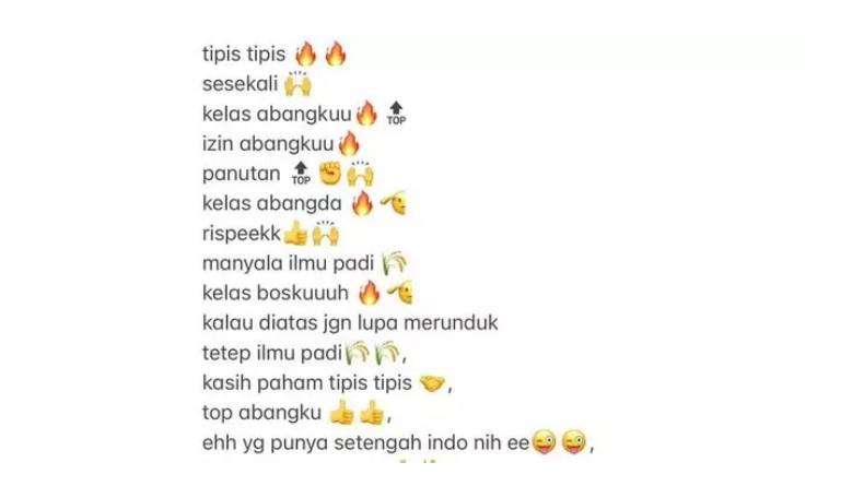 Arti Kata Menyala Abangku dalam Bahasa Gaul dan Tetep Ilmu Padi yang Viral di Media Sosial