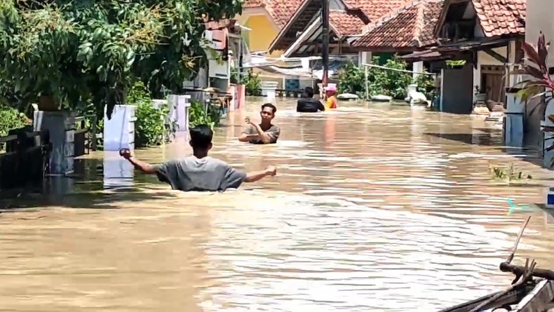 Update Dampak Banjir Cirebon: 36 Desa Terendam Puluhan Ribu Warga Mengungsi Update Dampak Banjir Cirebon: 36 Desa Terendam Puluhan Ribu Warga Mengungsi