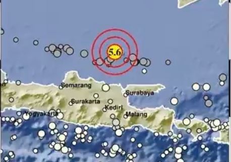 Gempa Terkini Tuban M5,6 Tidak Berpotensi Tsunami, BMKG Beri Peringatan Ini