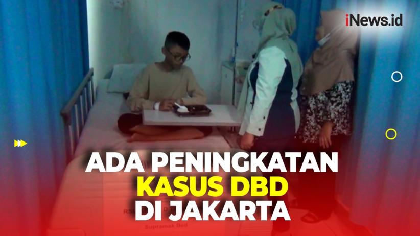 Kasus DBD Mei 2024 Naik, Kemenkes Ingatkan untuk Waspada Demam Berdarah di Musim Kemarau