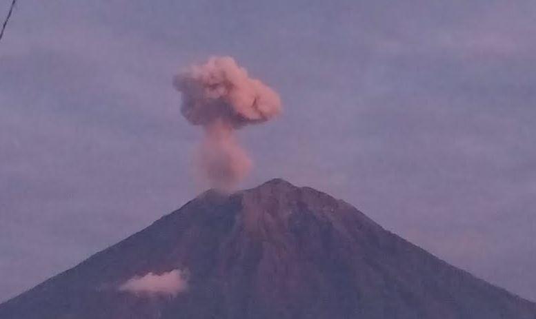 Gunung Semeru Erupsi 4 Kali Pagi Ini, PVMBG Minta Warga Jauhi Besuk Kobokan Gunung Semeru Erupsi 4 Kali Pagi Ini, PVMBG Minta Warga Jauhi Besuk Kobokan
